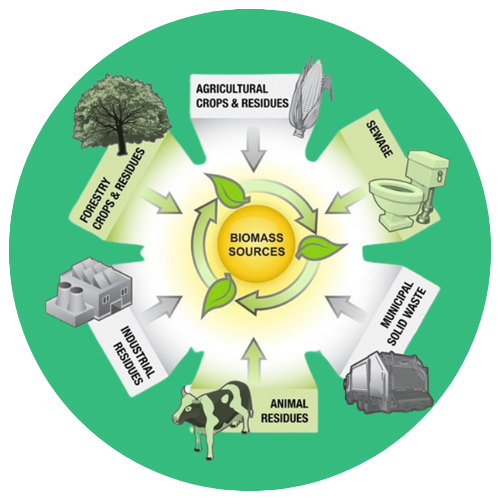 ENERSOL BIOPOWER PRIVATE LIMITED